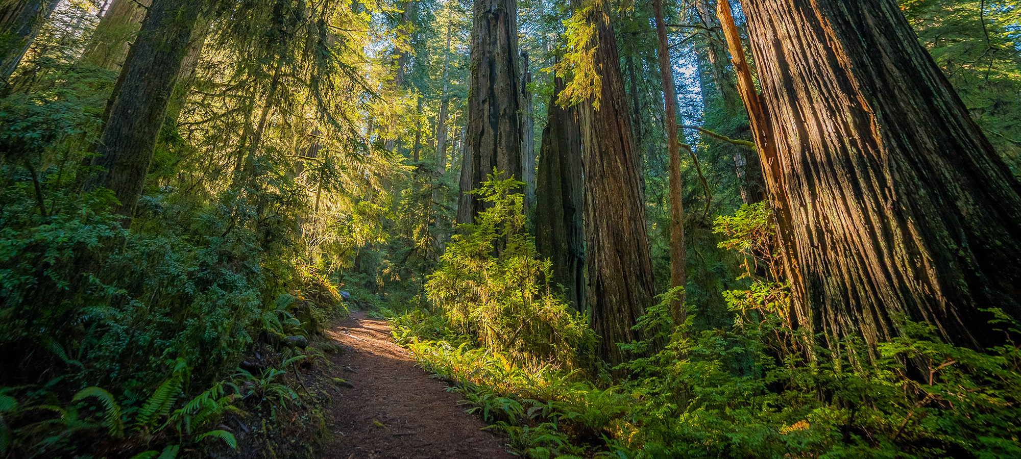 Home - Bay Federal Credit Union