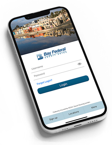 Home - Bay Federal Credit Union