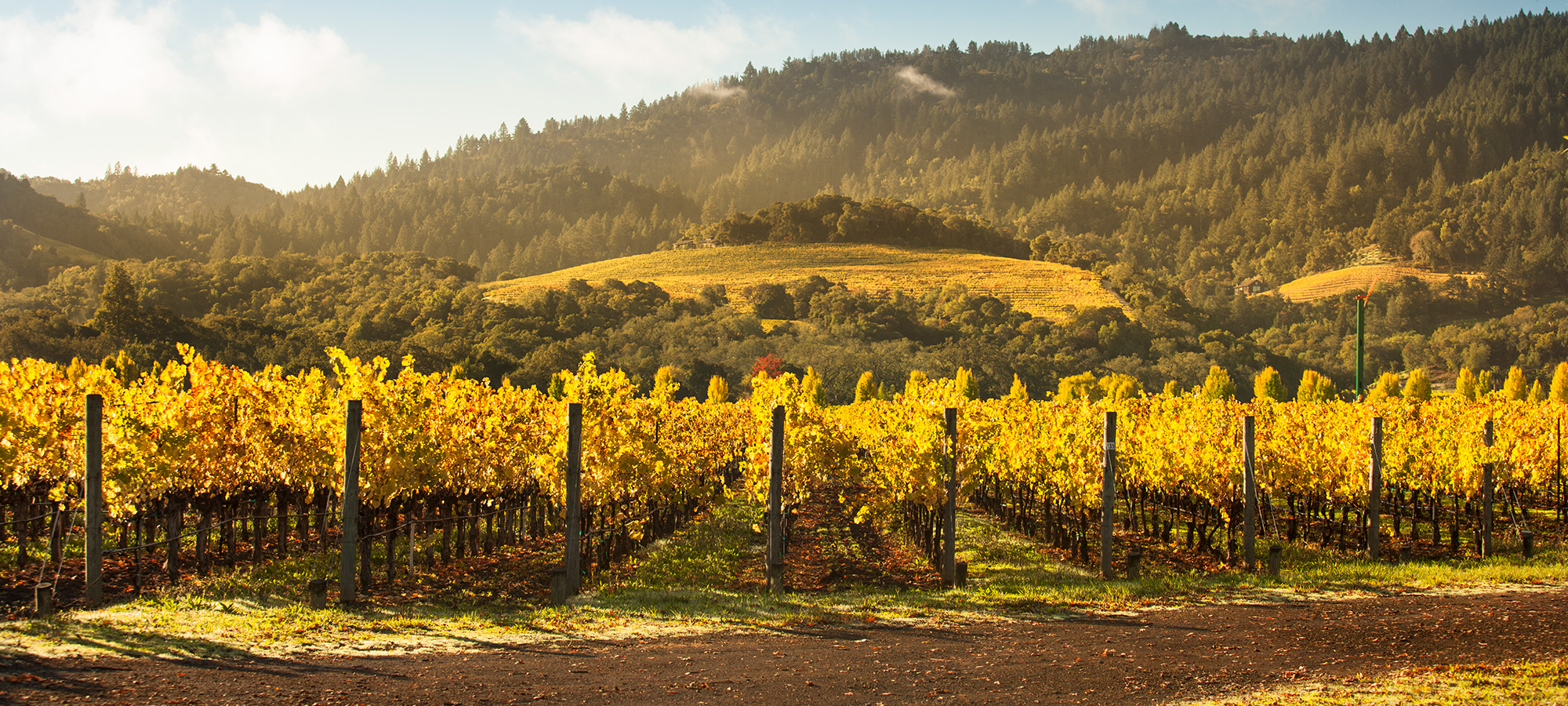 Home - Bay Federal Credit Union