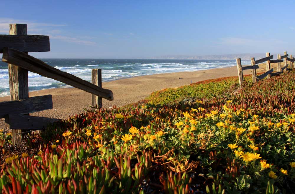 Online Banking - Bay Federal Credit Union